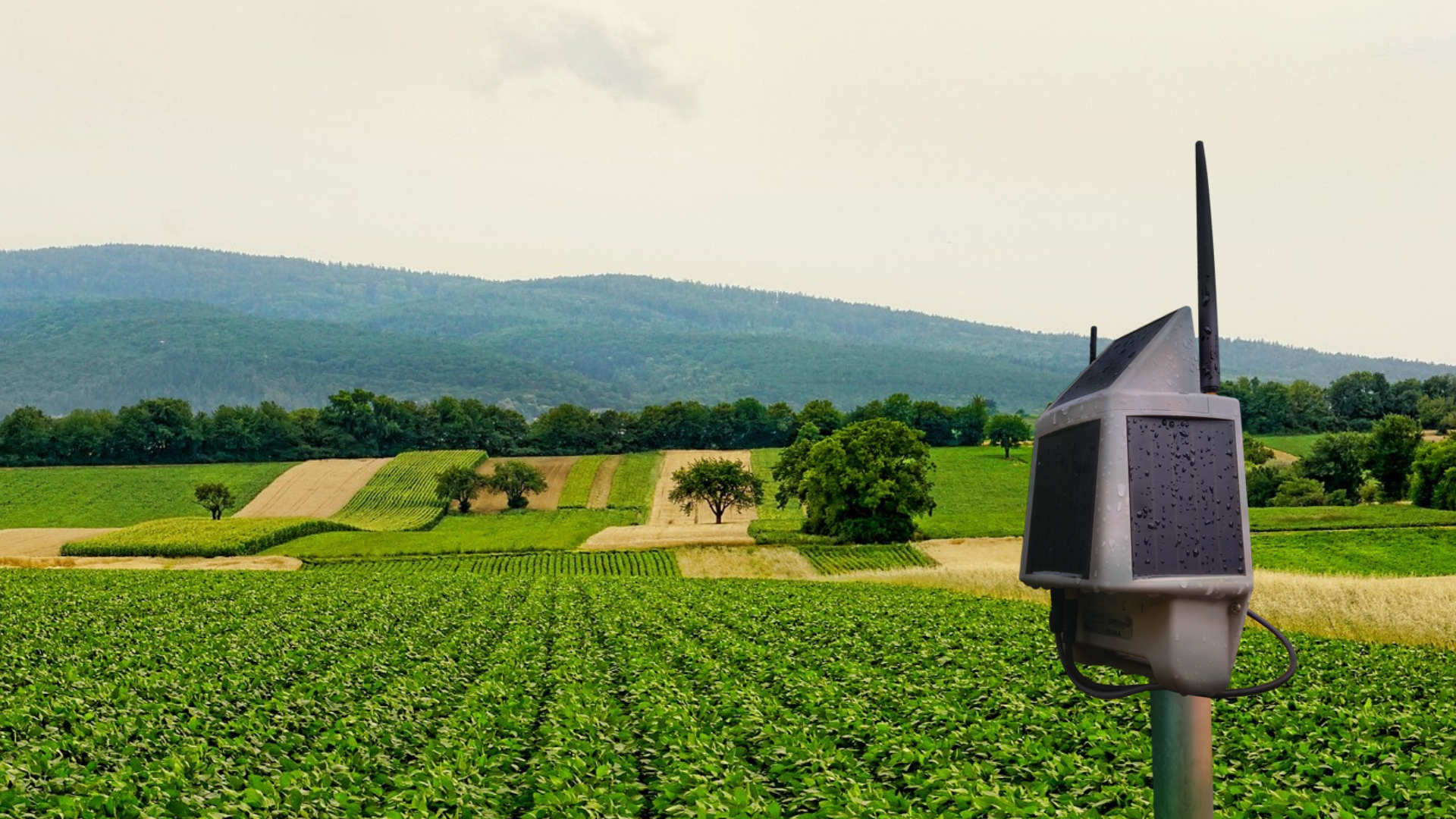 Smart Agriculture Monitoring with IoT Sensor Tech
