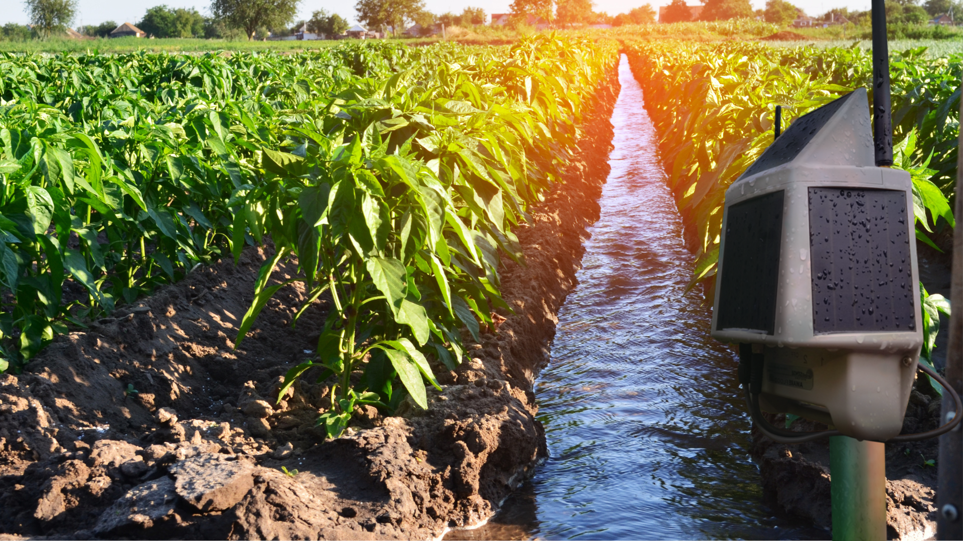 Smart Agriculture Monitoring with IoT Sensor Tech